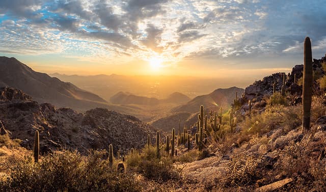 Health Hub | AZBlue